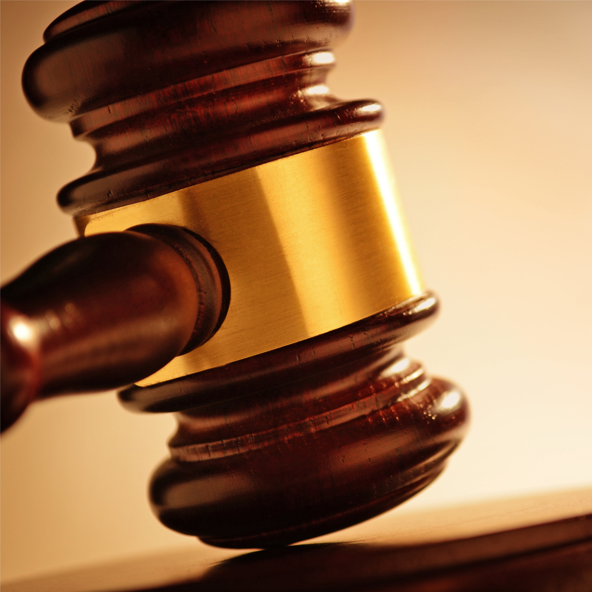 Past Performance . . . – Bridges-Not-Walls